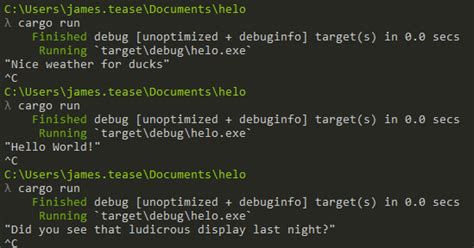Writing A Basic Json Response Web Server In Rust Using Iron James Baum