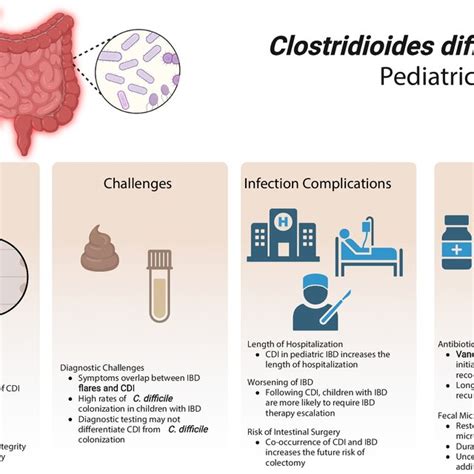 Overview Of C Difficile Infection In Pediatric Ibd Download Scientific Diagram