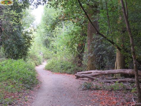 Solve The Beginning Of A Wonderful Journey Jigsaw Puzzle Online With