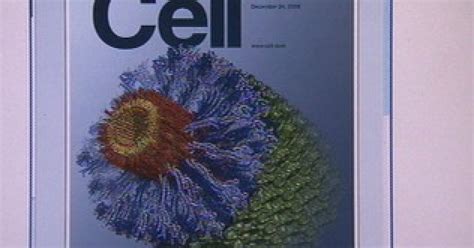 암 재발 원인 밝혔다 암세포 스스로 번식