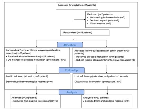 Figure 1 From The Efficacy And Safety Of Transurethral 2 μm Laser