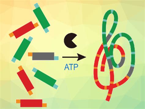 Polymer Transformers Chemistryviews