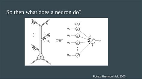 Introduction To Neural Networks