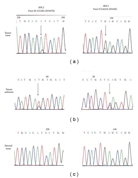 Oncogenic Pik3ca Mutation And Dysregulation In Human Salivary Duct Carcinoma Abstract