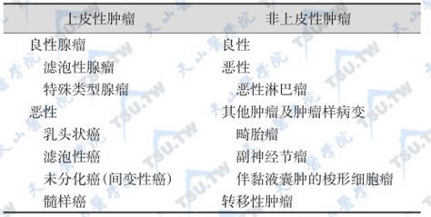 附图 甲状腺肿瘤 内分泌学 天山医学院