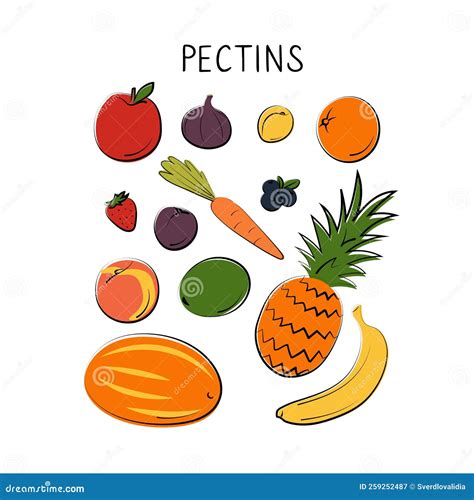 pectins containing food groups of healthy products containing vitamins and minerals stock