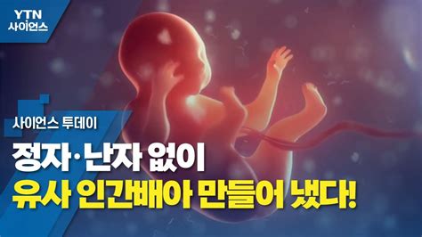 실제 인간 복제