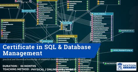 Certificate In Sql And Database Management Nextgen Campus