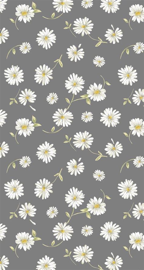 Cute Daisy Wallpapers Wallpaper Cave