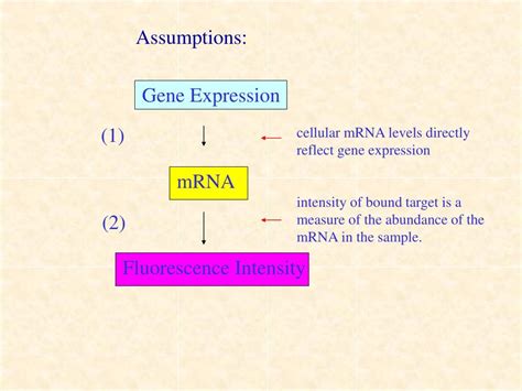 Ppt Classification Of Microarray Data Recent Statistical Approaches Powerpoint Presentation
