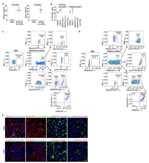 Tumor Extracellular Vesicles And Particles Dysregulate Liver Metabolism Pmc