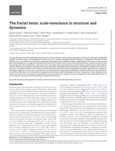 Pdf The Fractal Brain Scale Invariance In Structure And Dynamics