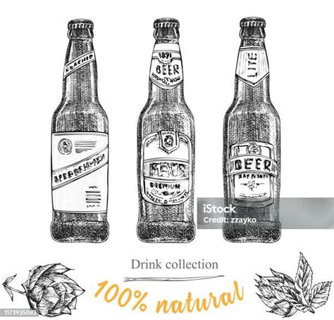 세트 손으로 그린 스케치 병 맥주 홉 밀 빈티지 디자인 바 레스토랑 흰색 배경에 카페 메뉴 전단지 배너 포스터 조각 스타일을위한 창조적 인 템플릿 가득 찬에 대한 스톡 벡터