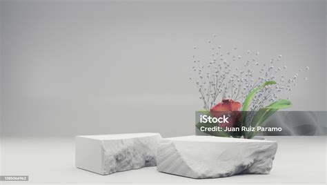 천연 파스텔 색상의 화장품배경 흰색 배경에 돌 연단과 건조 꽃 전면 보기입니다 3d 렌더링 3차원 형태에 대한 스톡 사진 및 기타 이미지 Istock