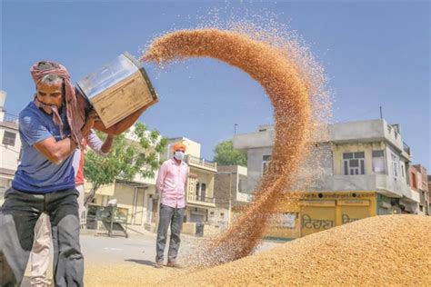 Punjab And Madhya Pradesh Farmers Unlikely To Reap Rewards Of New Msp
