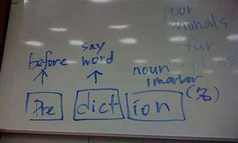 Différence Entre Linférence Et La Prédiction Diffexpert