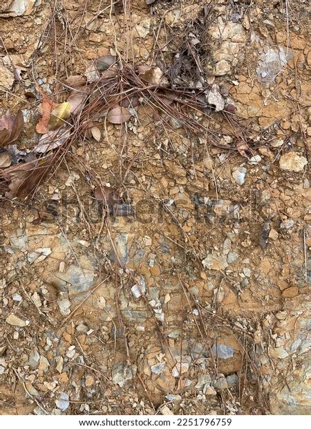Surface Soil Texture Classification Instrument Used Stock Photo 2251796759 Shutterstock