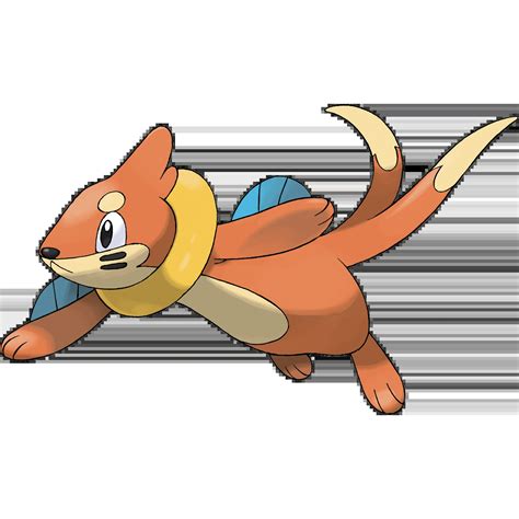 Buizel Poképédia Fandom Powered By Wikia