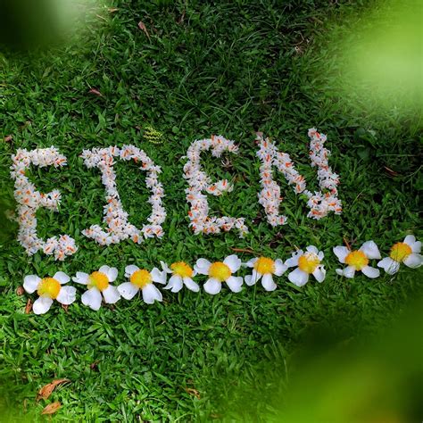 ဧဒင် မြေ အရောင်းအဝယ် Added A New Photo ဧဒင် မြေ အရောင်းအဝယ်