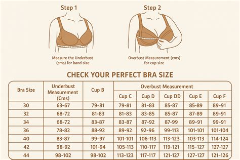 Bra Size Chart A Perfect Guide With Pcitures Omi Beauty