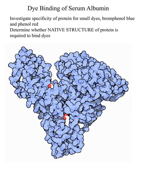 Ppt Dye Binding Of Serum Albumin Powerpoint Presentation Free Download Id 6523818