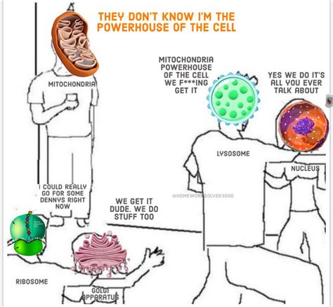Cell Organelles Memes Cell Organelles Individualgroup