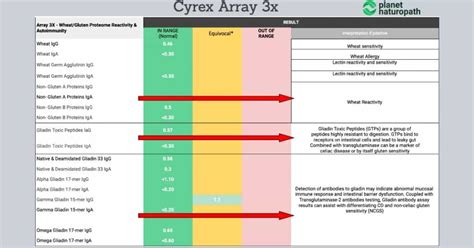 Cyrex Array 3x Test Identify Celiac Or Gluten Sensitivity