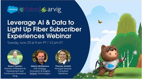 Fahad Hamid On Linkedin Leverage Ai And Data To Light Up Fiber Subscriber Experiences