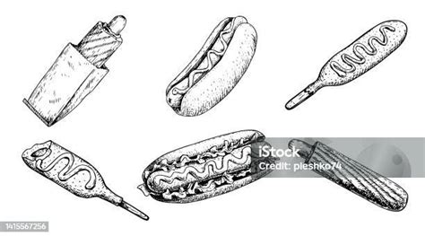 스케치 스타일 컬렉션의 핫도그 클래식 프랑스 핫도그와 옥수수 개 손으로 그린 빈티지 스타일 메뉴 및 포장에 가장 적합합니다 벡터 일러스트레이션 핫도그에 대한 스톡 벡터 아트