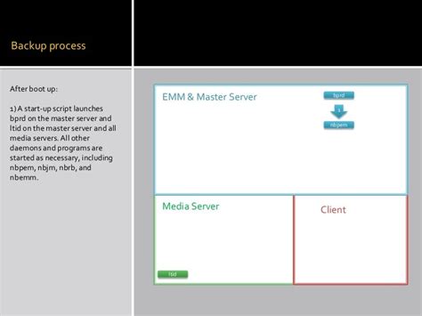 Netbackup 65 Backup Process