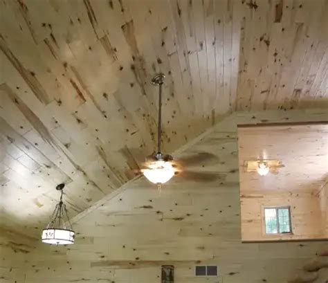 Aspen Tree Forestry Com