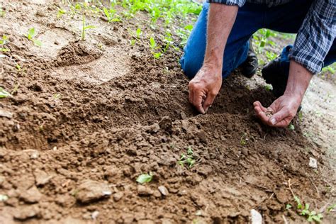 Seeding Mongodb Database The Right Way By Paweł Kosiec Medium