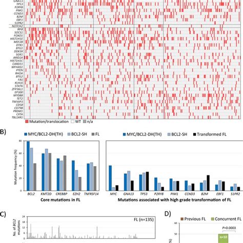 Molecular Subtype Of Dlbcl According To Translocation Status Mhg