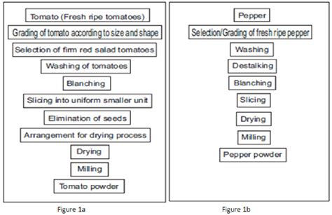 Aandb Flowchart For Processing Of Tomato Powder And Pepper Powder