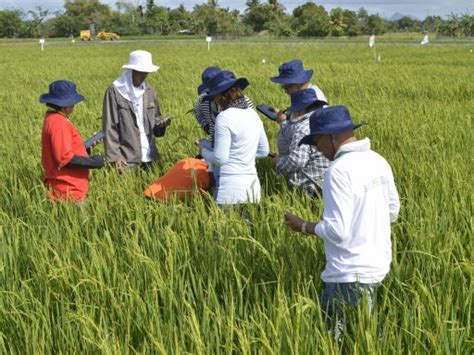 Corruption And Institutional Design A Philosophy Of Government