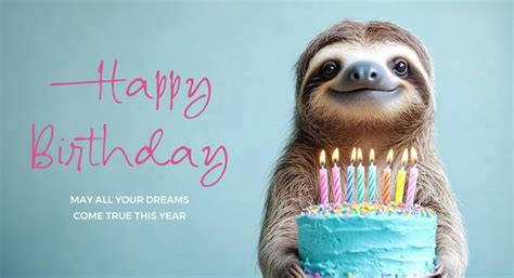 Funny Happy Birthday Sloth Meme Little Rays Nature Centre Hamilton