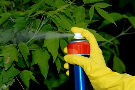 ハモグリバエ エカキムシ の対策駆除と予防方法は HORTI ホルティ by GreenSnap