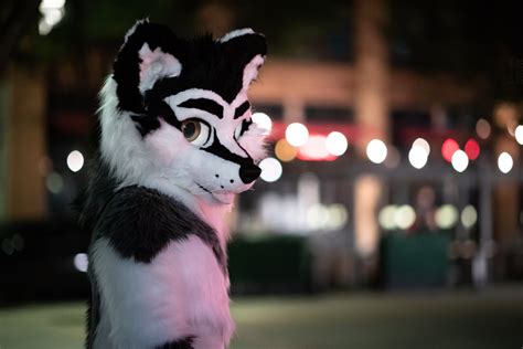 Fursuiting Opportunities And Activites In Pittsburgh Anthrocon 2025
