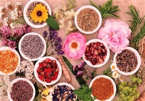 مشورت با متخصصان برای مصرف داروهای گیاهی و ترکیبی ضروری است تسنیم