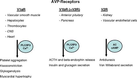 Pdf Arginine Vasopressin Avp And Treatment With Arginine