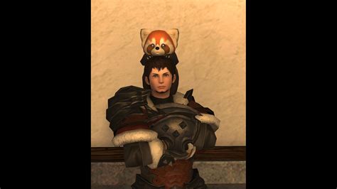 Head Mounted Minions PMP XIV Mod Archive