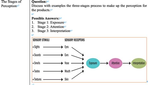 Solved The Stages Of Perception Question Discuss With
