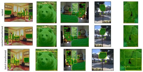 coco dataset example using nested tensors torchaug