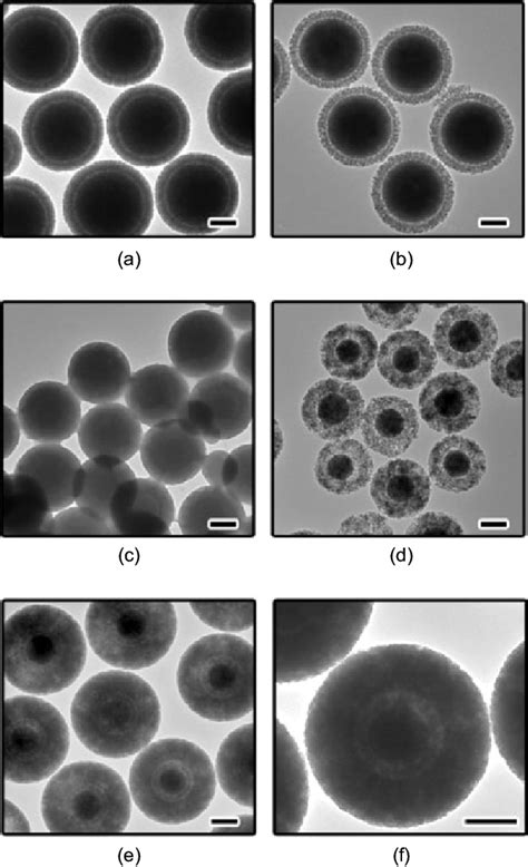 TEM Images Of A Sample Of SiO SiO SiO Colloids Collected At Download Scientific Diagram