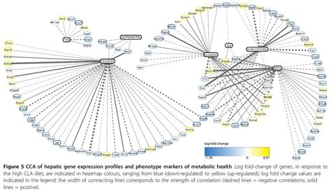 How To Make A Network Diagram Using Cytoscape Researchgate