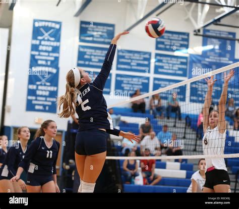 High School Girls Volleyball Shorts