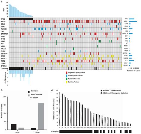 Impact Of Tp53 Mutation Variant Allele Frequency On Phenotype And Outcomes In Myelodysplastic