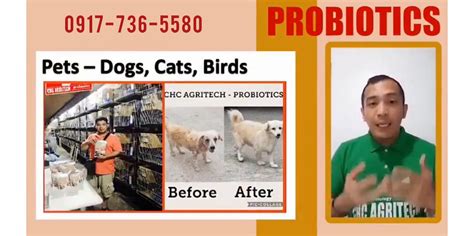 Chc Classique World Online Shop Shopee Philippines