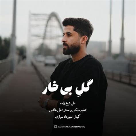 علی شیخ زاده گل بی خار Ali Sheykhzadeh Gole Bi Khaar