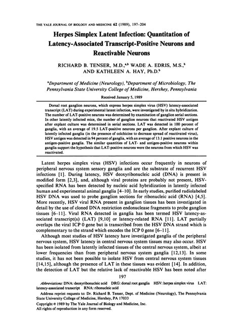 Pdf Herpes Simplex Latent Infection Quantitation Of Latency Associated Transcript Positive
